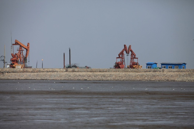 Application of low density cement slurry system in surface cementing in ...